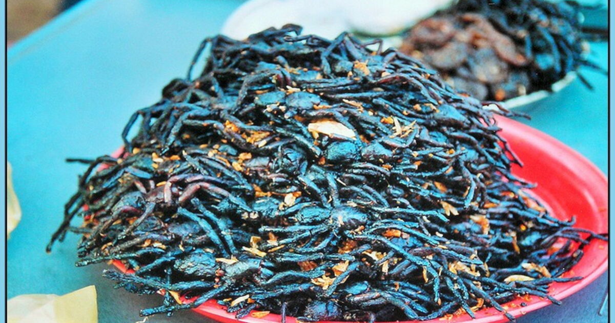 Envie d'une mygale grillée ?, - Geo.fr