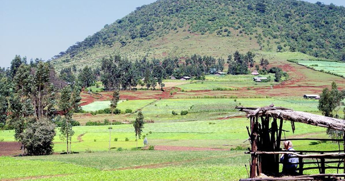 paysages des hauts plateaux, - Geo.fr