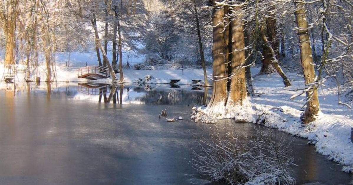 Etang enneige, - Geo.fr