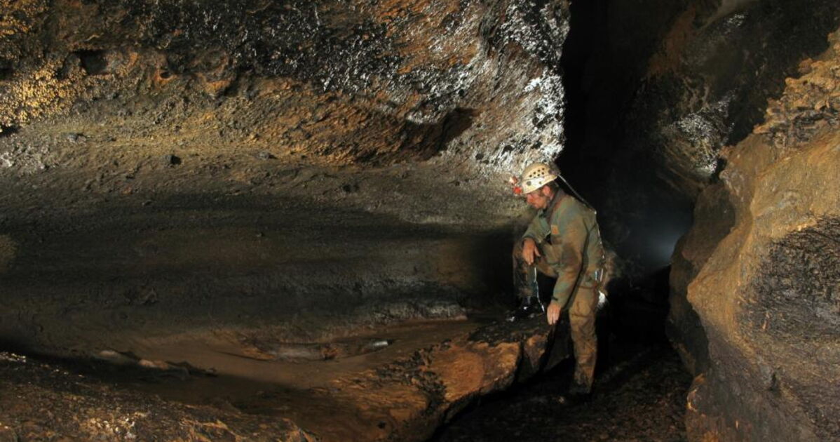 une défense de mammouth !, - Geo.fr