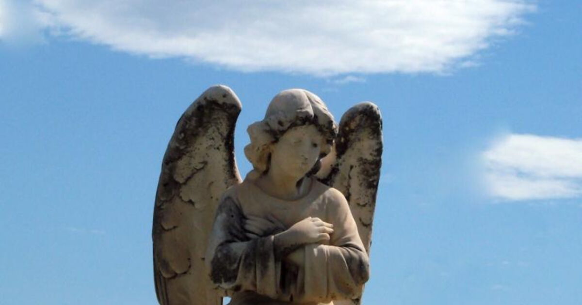 L'auréole ...., - Geo.fr