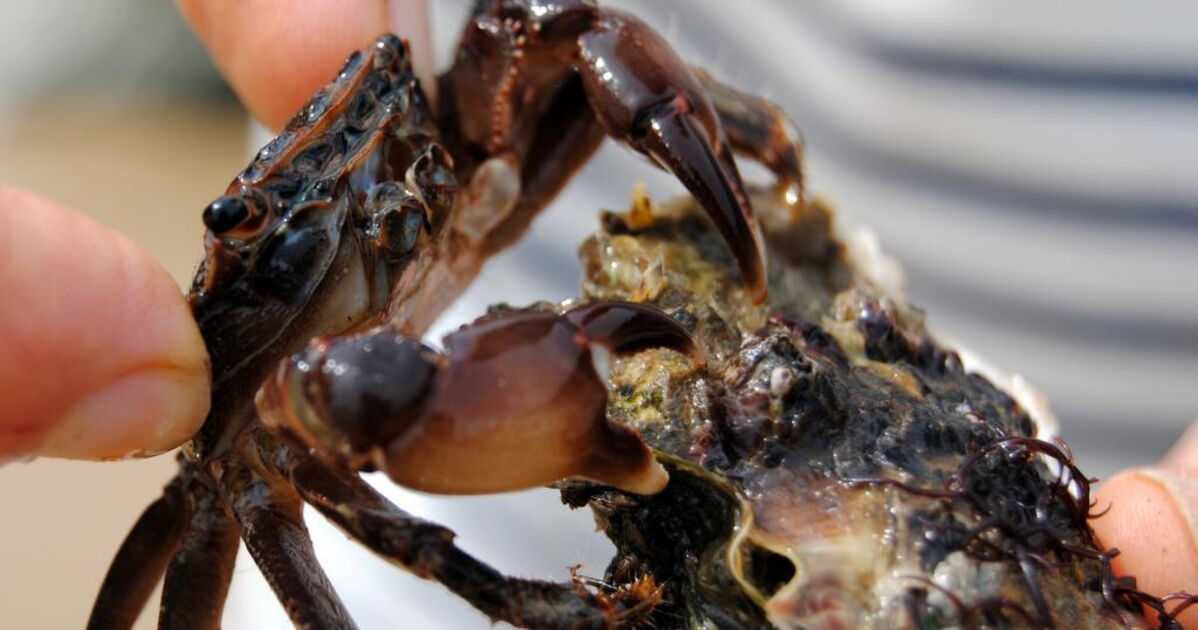 hey tu le laches??, - Geo.fr