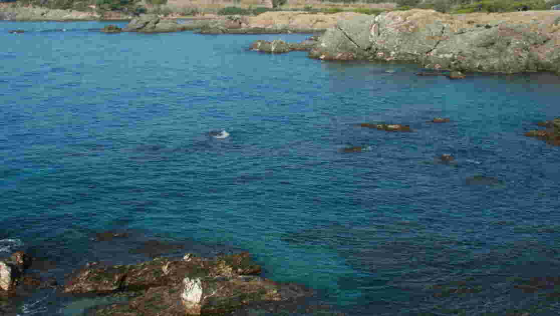 Du Gaou aux Embiez, A une hauteur de mollet près, une... - Geo.fr