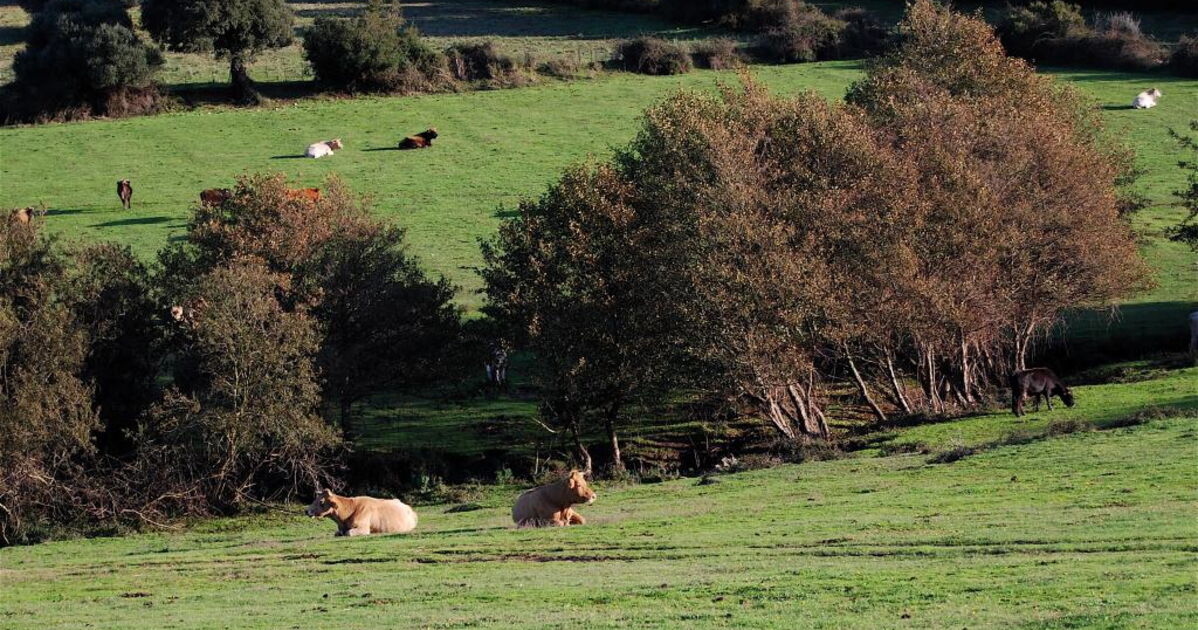 vert pâturage, - Geo.fr