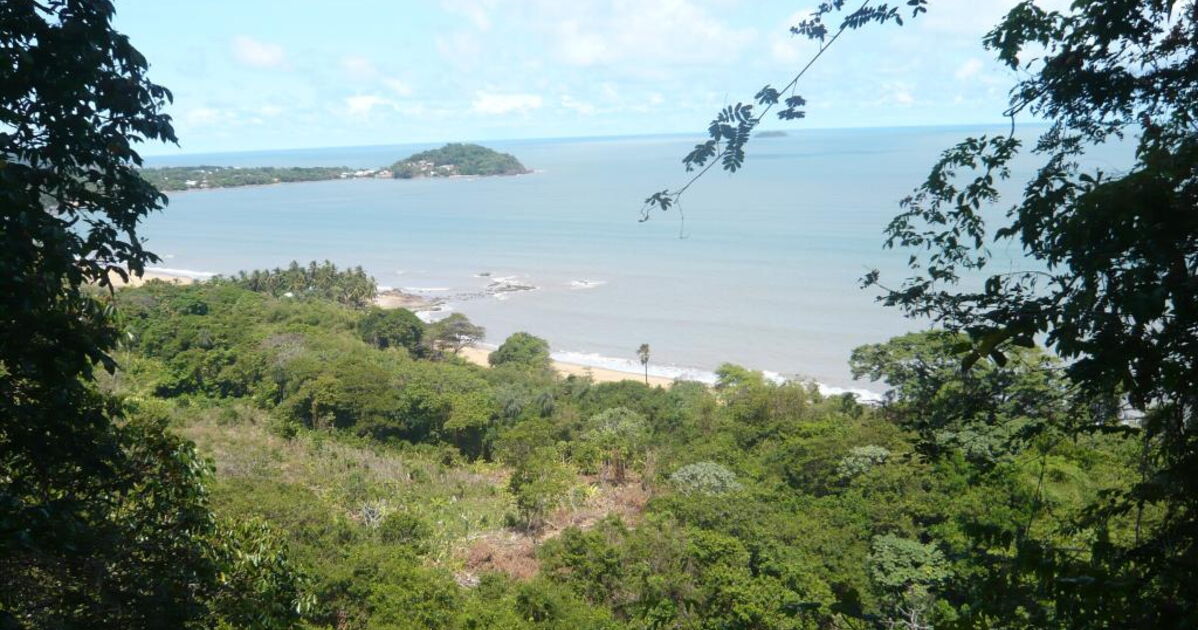 Plage de Remire-Montjoly, La plage vu des hauteurs. - Geo.fr