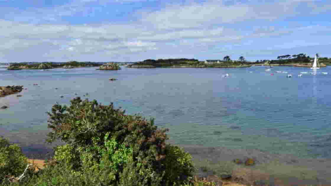 île de Bréhat au printemps, - Geo.fr