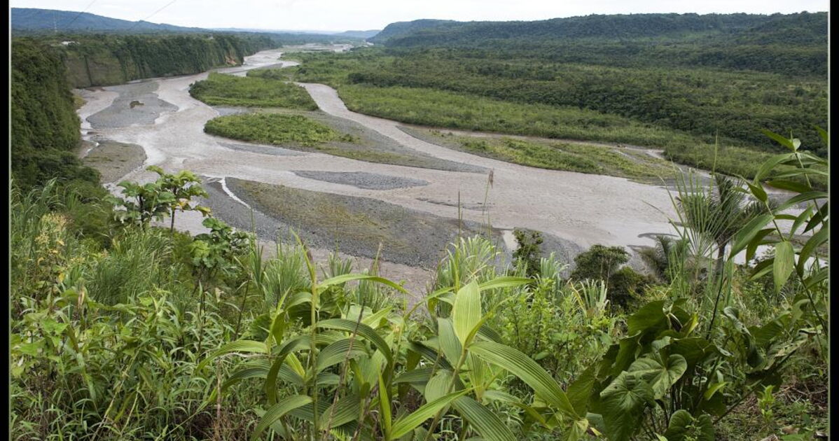 Rio Napo, Principal affluent de l'Amazone, le Rio1 - Geo.fr
