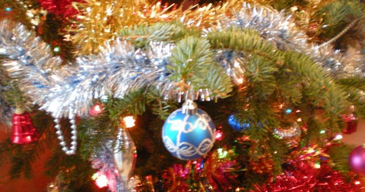 le_sapin.jpg, - Geo.fr