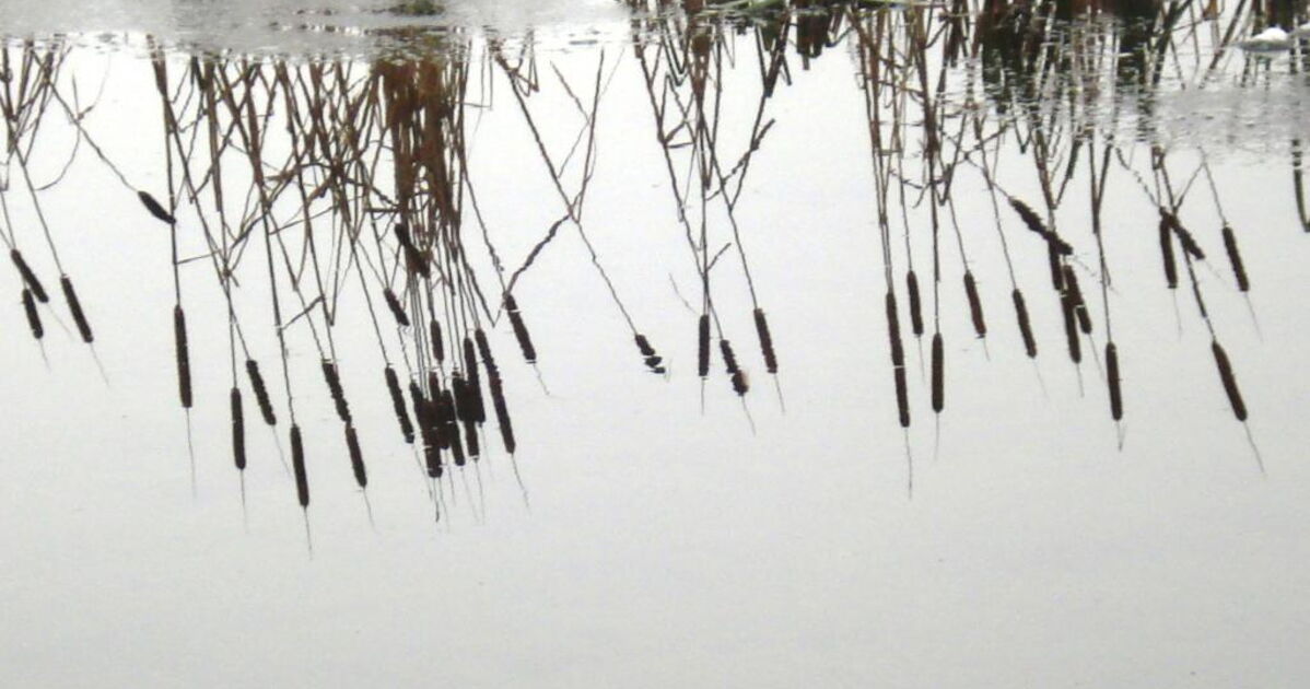 Inversement..., - Geo.fr