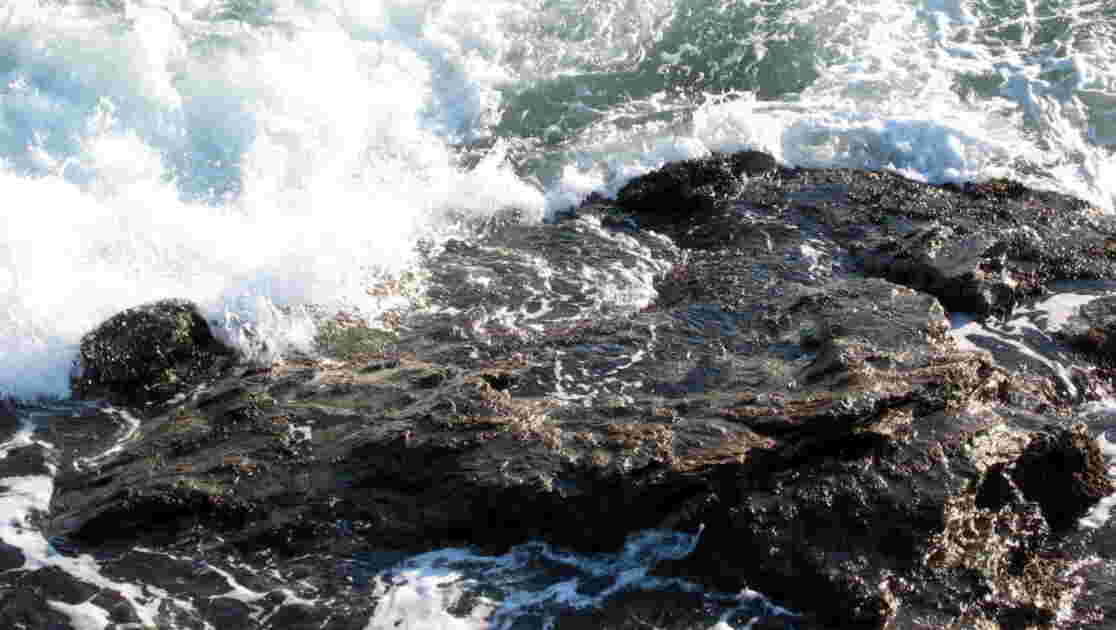 Mer Méditerranée , Vie sous marine de la Côte d’Azur... - Geo.fr