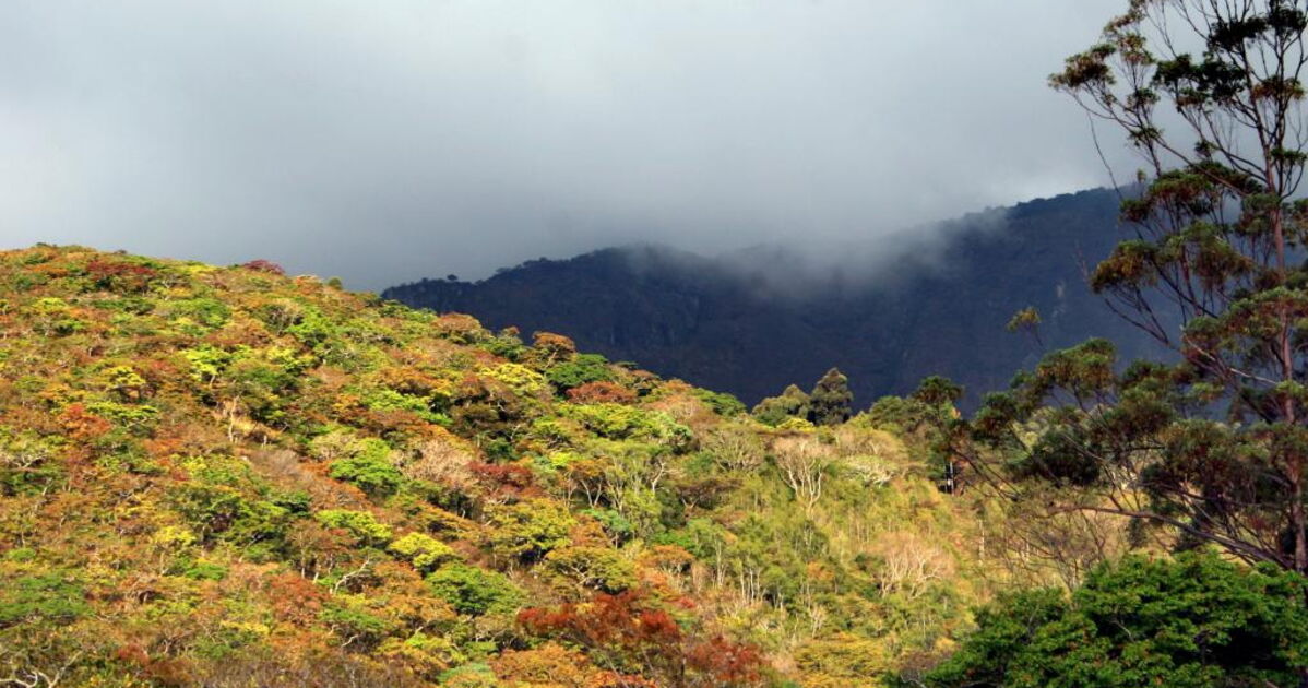 zimbabwe_eastern_highlands_01.jpg, - Geo.fr