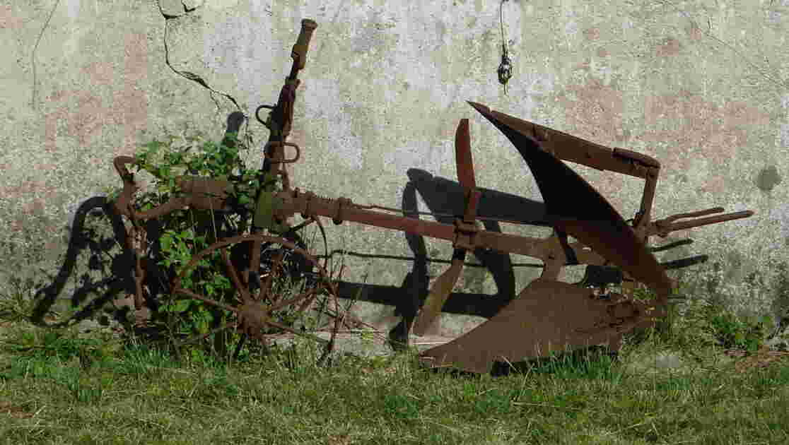 du haut de ma charrue..., quand j'ai vu notre embarcation... - Geo.fr