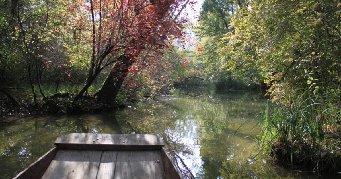 Ile_de_Rhinau.05.jpg, - Geo.fr