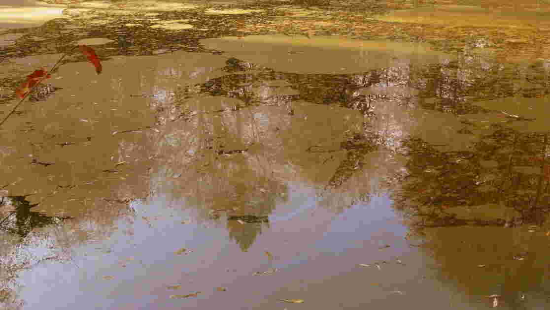 Plouf dans l'eau!, - Geo.fr