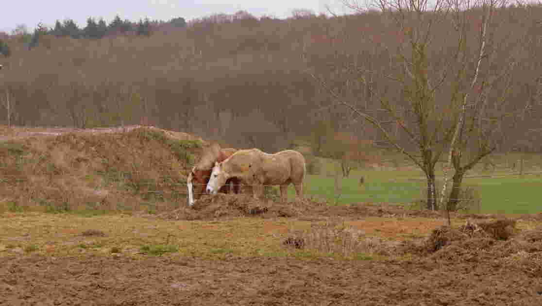 La gadoue, Le chemin est détrempé, la marche difficile. - Geo.fr