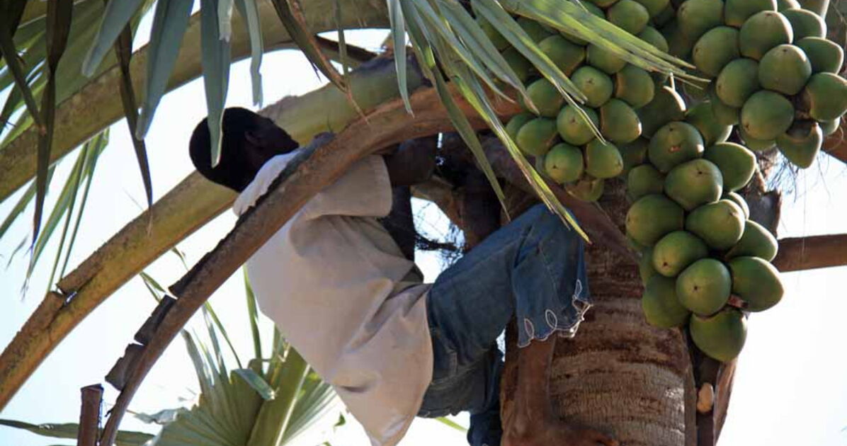 ronier_Burkina_Faso.jpg, - Geo.fr