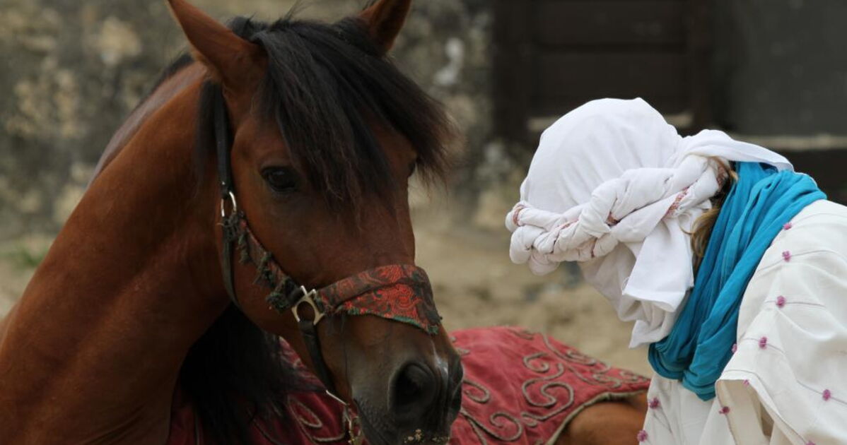l'homme et le cheval, - Geo.fr