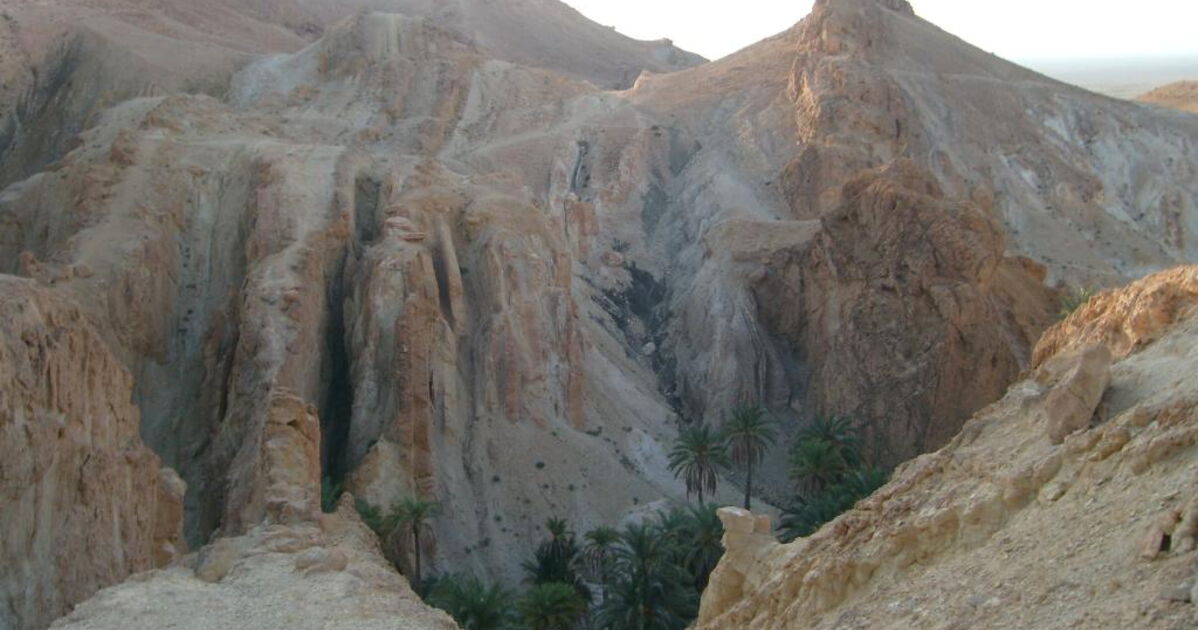 Oasis à Douz, - Geo.fr