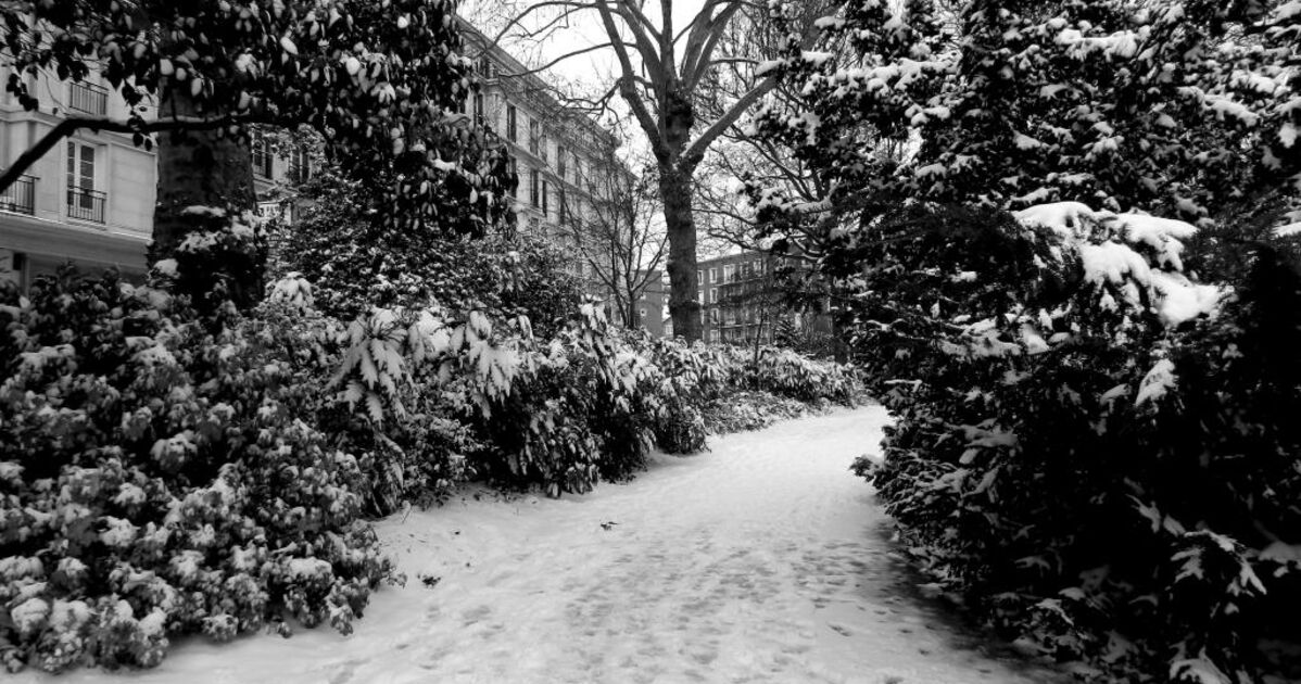 Square St Roch, Le Havre, - Geo.fr