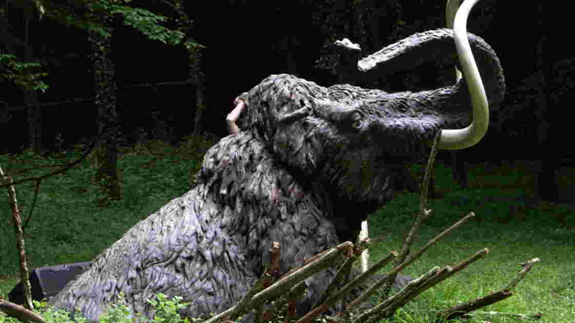 une défense de mammouth !, - Geo.fr