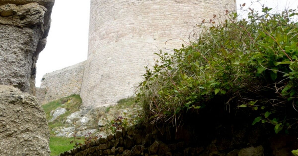 Le Donjon, Le donjon est muni de mâchicoulis et deux... - Geo.fr