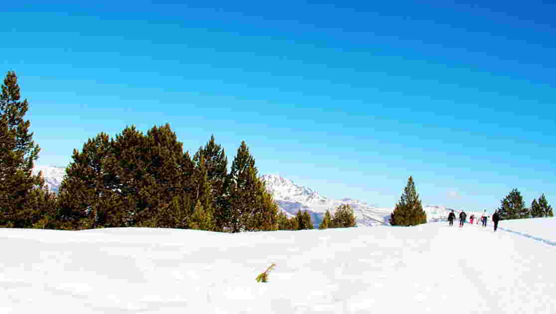 Plateau de Beille (1), Le plateau de Beille est un... - Geo.fr