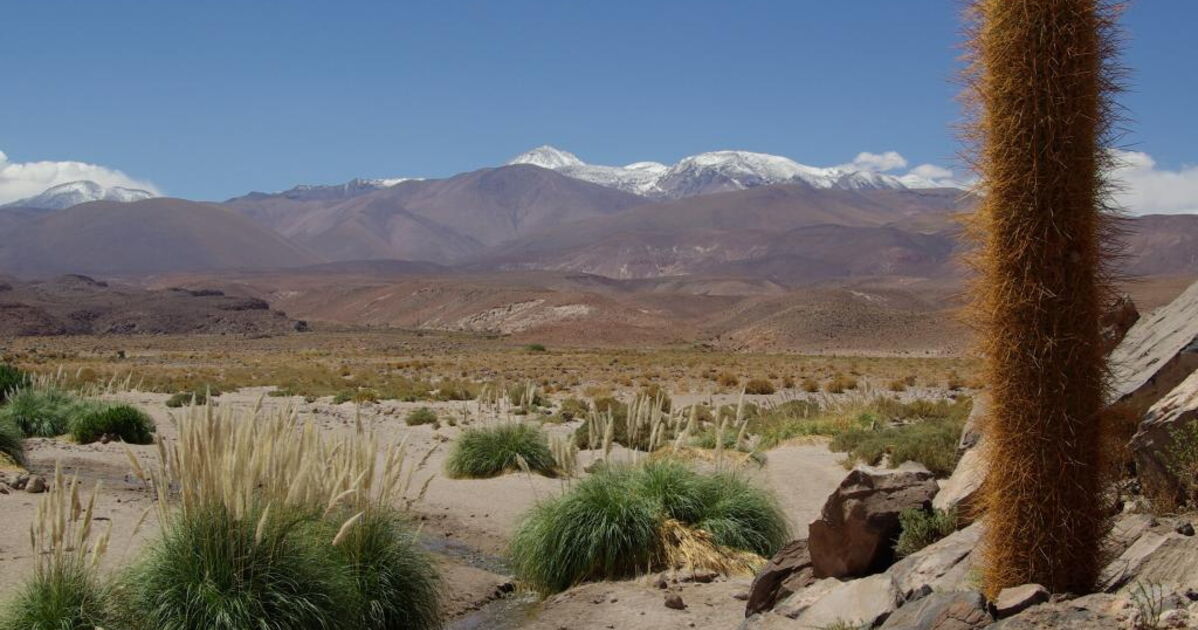 Tableau Andin, - Geo.fr