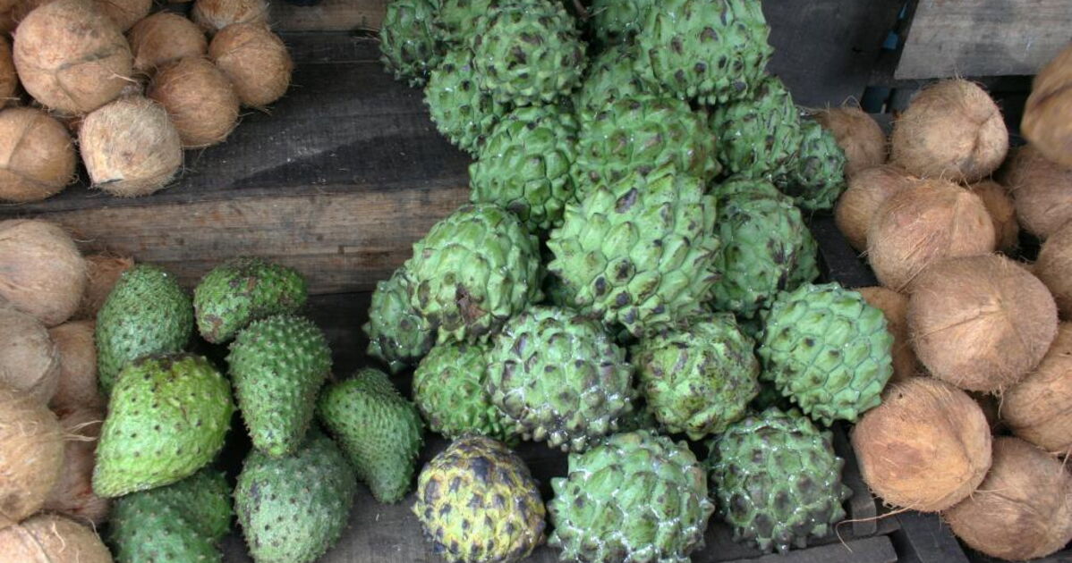 pomme cannelle au centre, Pomme cannelle fruit de1 - Geo.fr