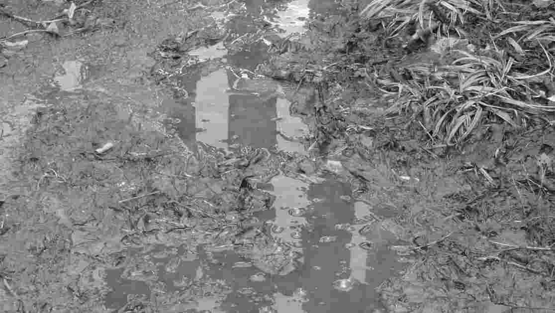 La gadoue, Le chemin est détrempé, la marche difficile. - Geo.fr