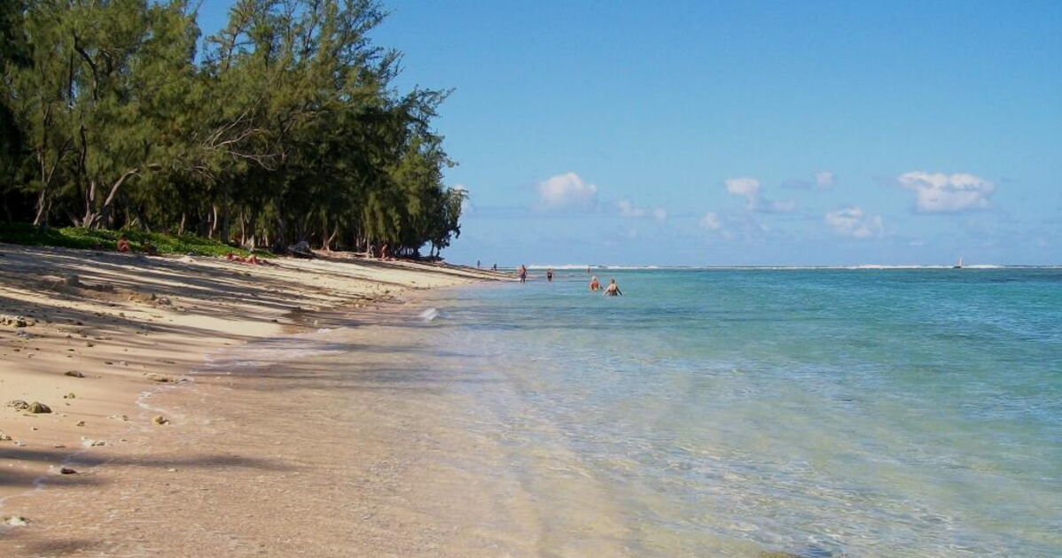 Le lagon, Ambiance de début de journée à l'ombre des... - Geo.fr