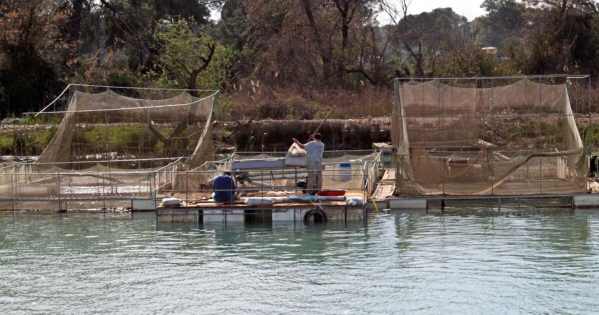 3717 - PISCICULTURE, - Geo.fr