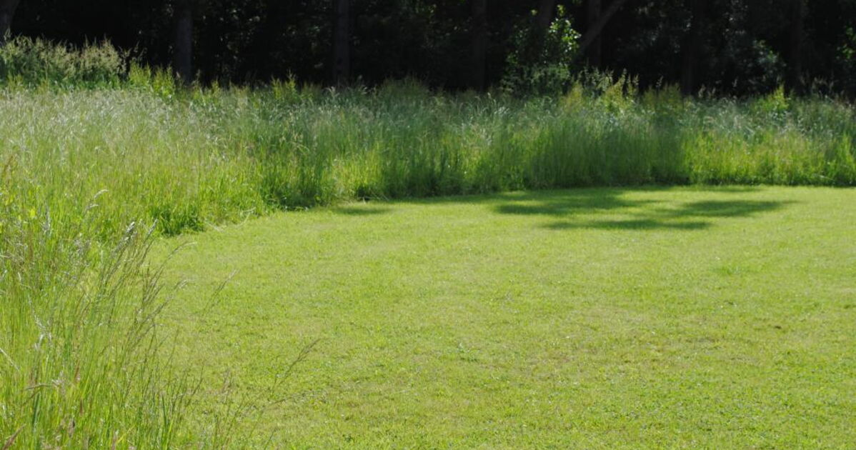 HERBE FRAICHE, - Geo.fr