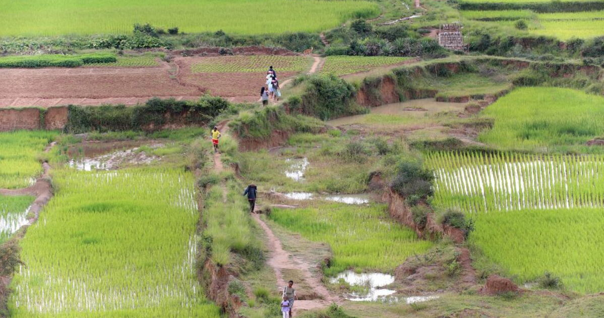 les cultures entourées de diguettes, - Geo.fr