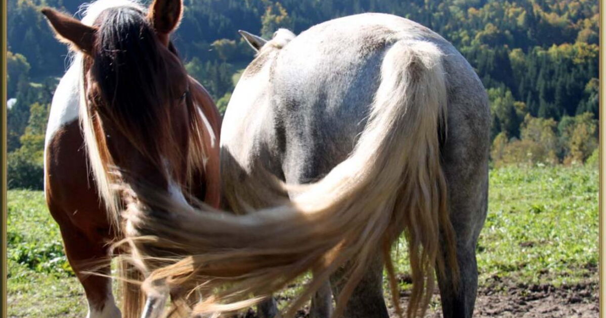 Un tête-à-queue, - Geo.fr