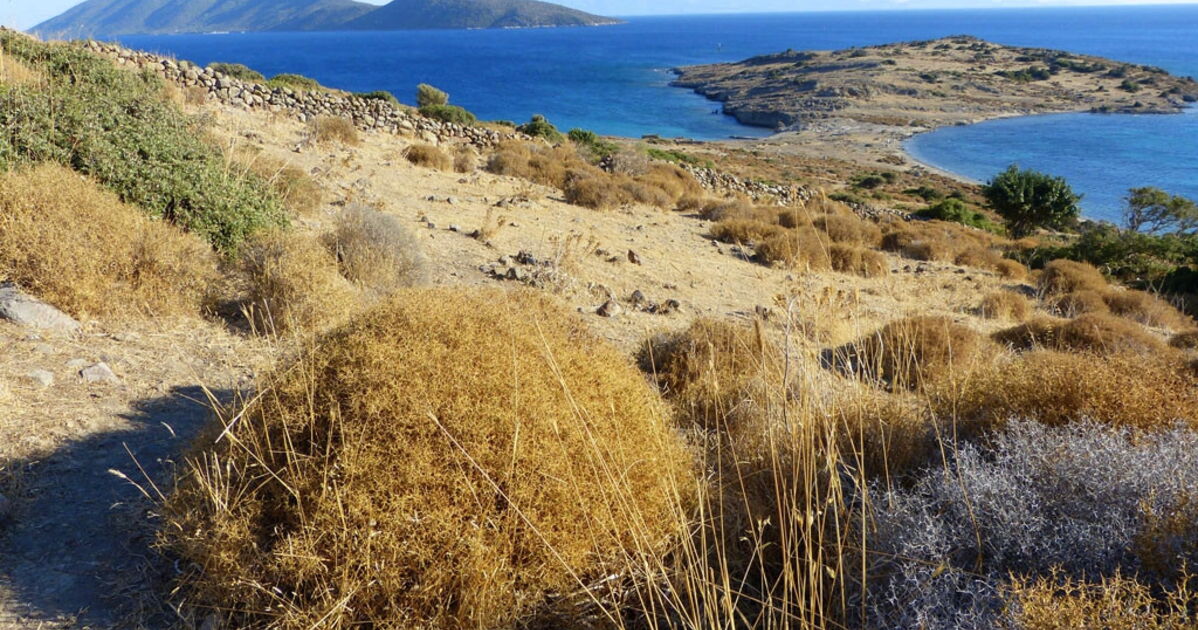 Bodrum nature, Bodrum s'est agrandie sur les coll1 - Geo.fr