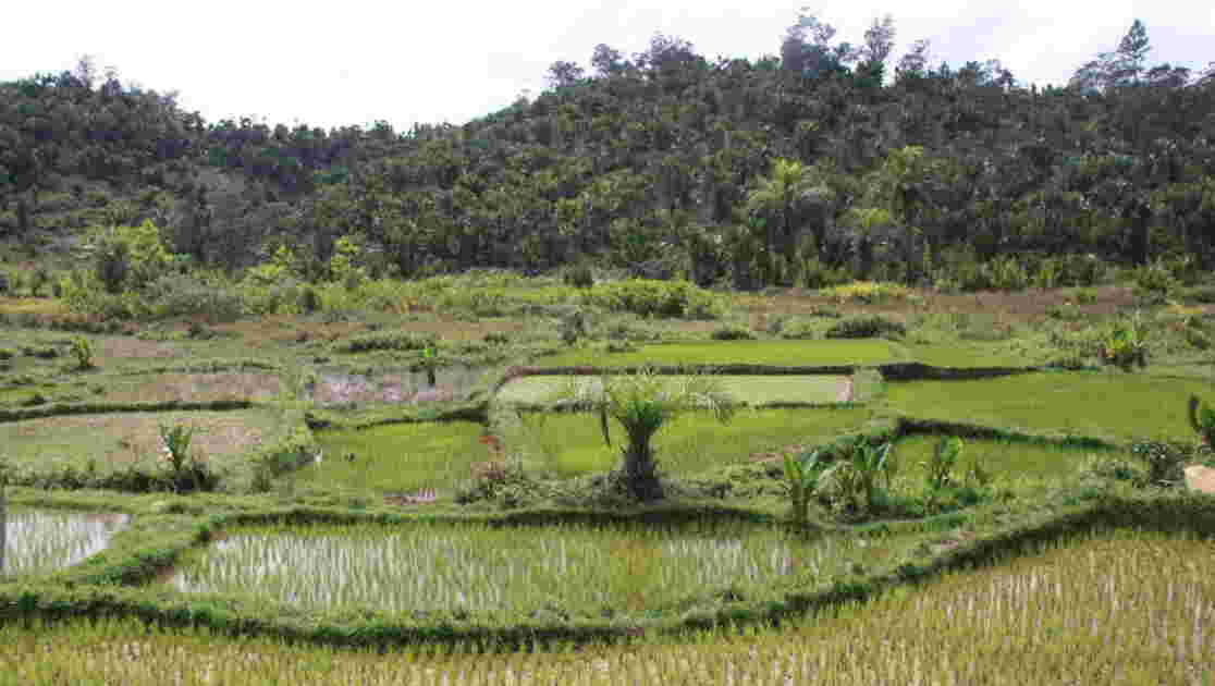 Paysage malgache, - Geo.fr
