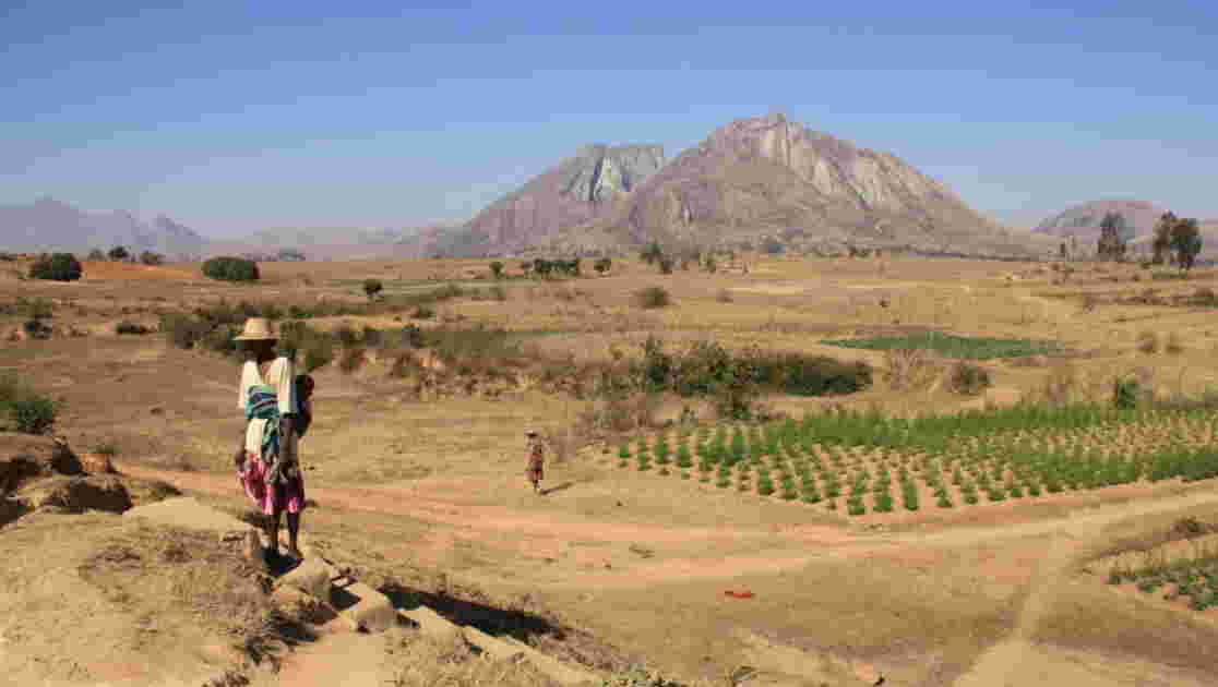 Paysage malgache, - Geo.fr