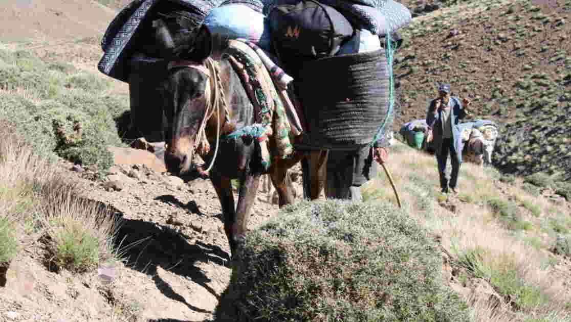 le jeune muletier et les bergeries, - Geo.fr