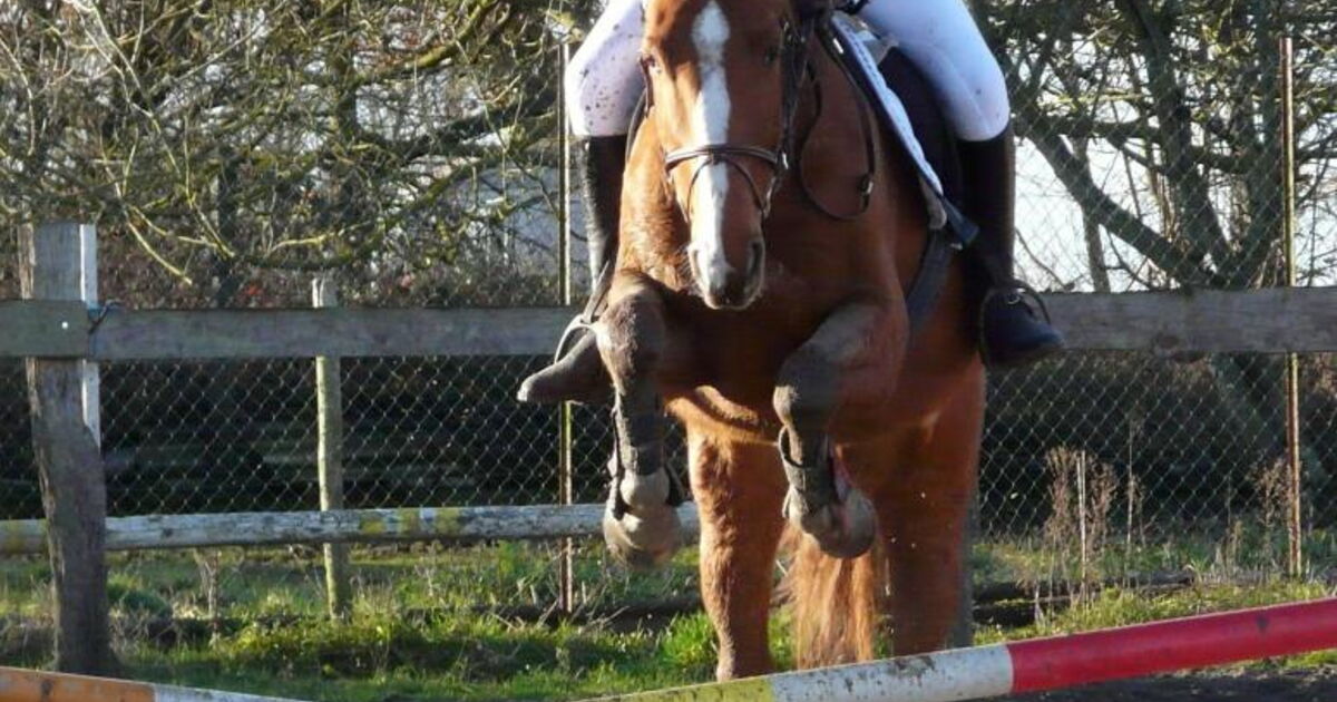 galop 6..., - Geo.fr