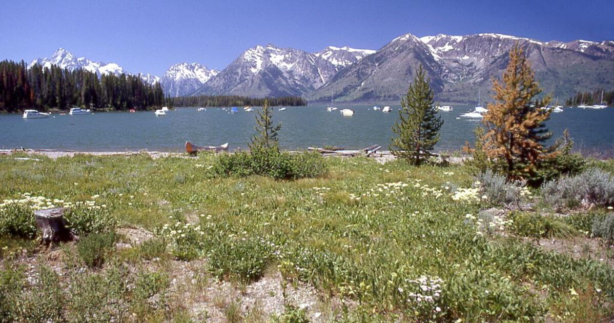 Jackson Lake, - Geo.fr