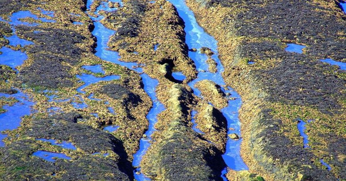 PM Penins. Valdes Tableau abstrait, - Geo.fr