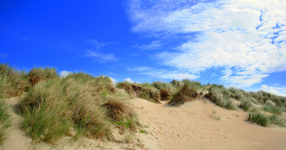 Coxyde / Koksijde, Belgique, Les dunes faisant face... - Geo.fr