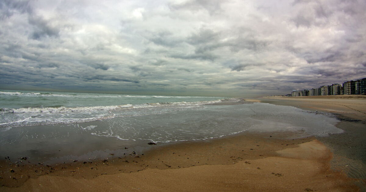 Coxyde, Belgique, De retour pour quelques jours e1 - Geo.fr
