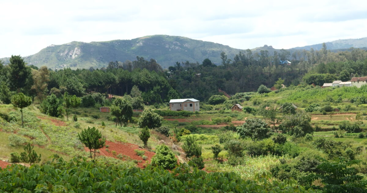 Madagascar, campagne Malgache - Geo.fr