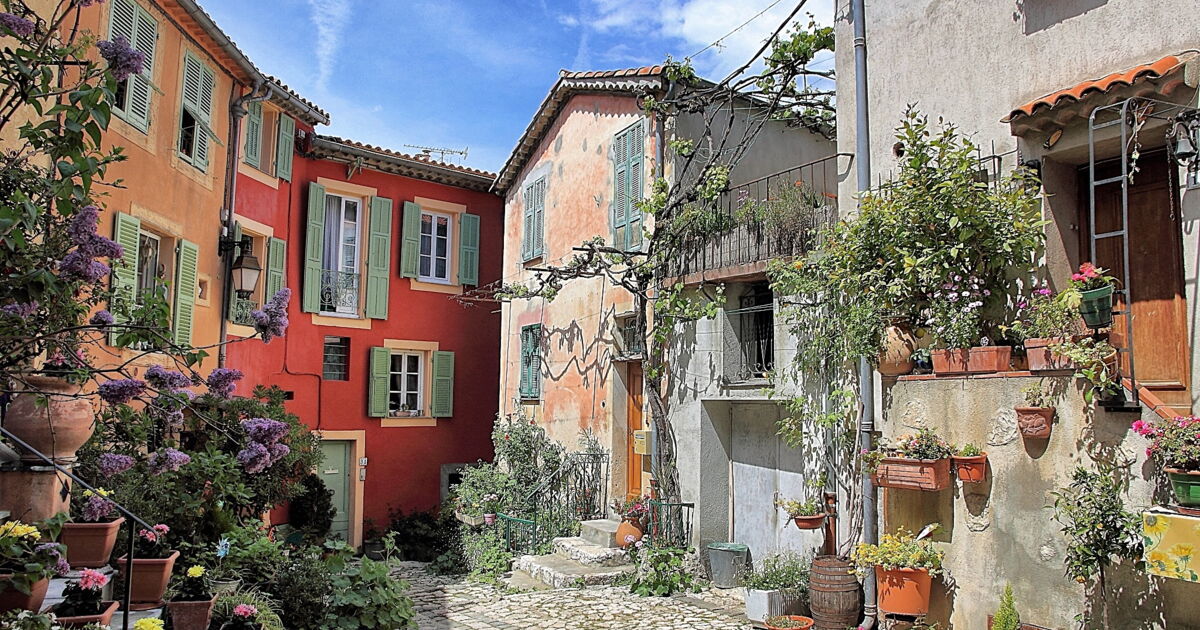 Falicon / Nice, la fête de l'œillet « Falicon en1 - Geo.fr