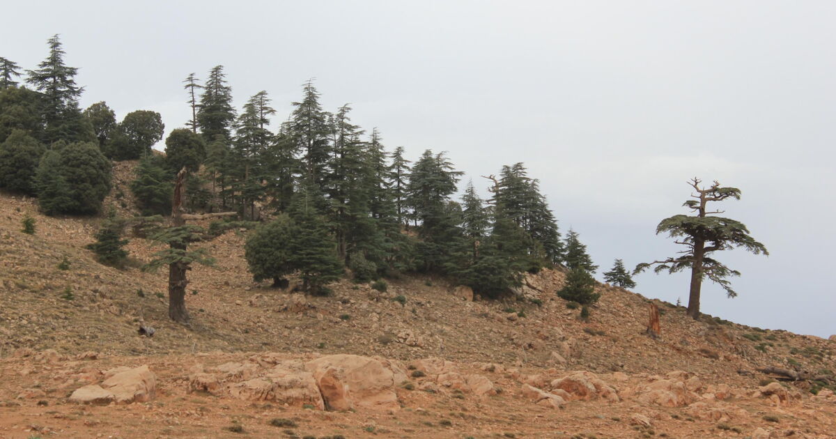 Le col du Zad , à plus de 2000m, permet de franchir... - Geo.fr