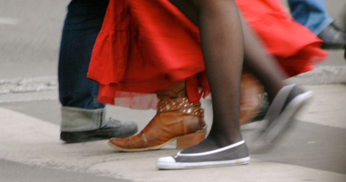 milles pattes paris, milles pattes - Geo.fr