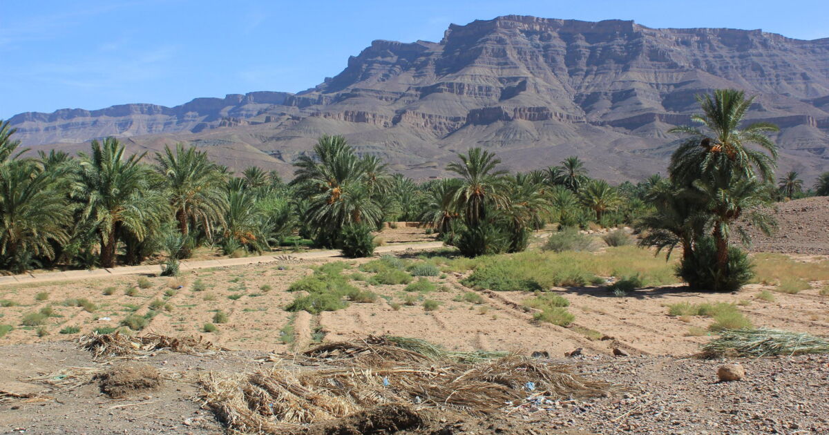 Entre Zagora et Agdz , les rives de l'oued Draa a1 - Geo.fr
