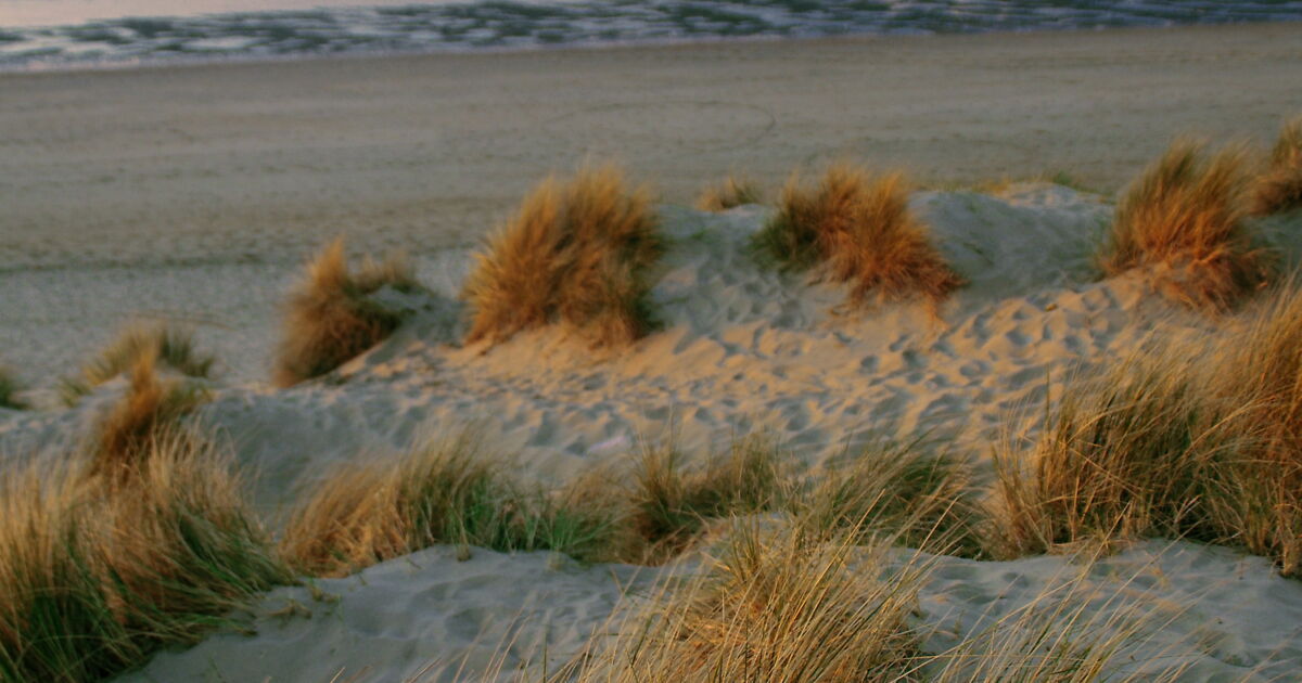Coxyde, Belgique, Coucher de soleil sur la plage1 - Geo.fr