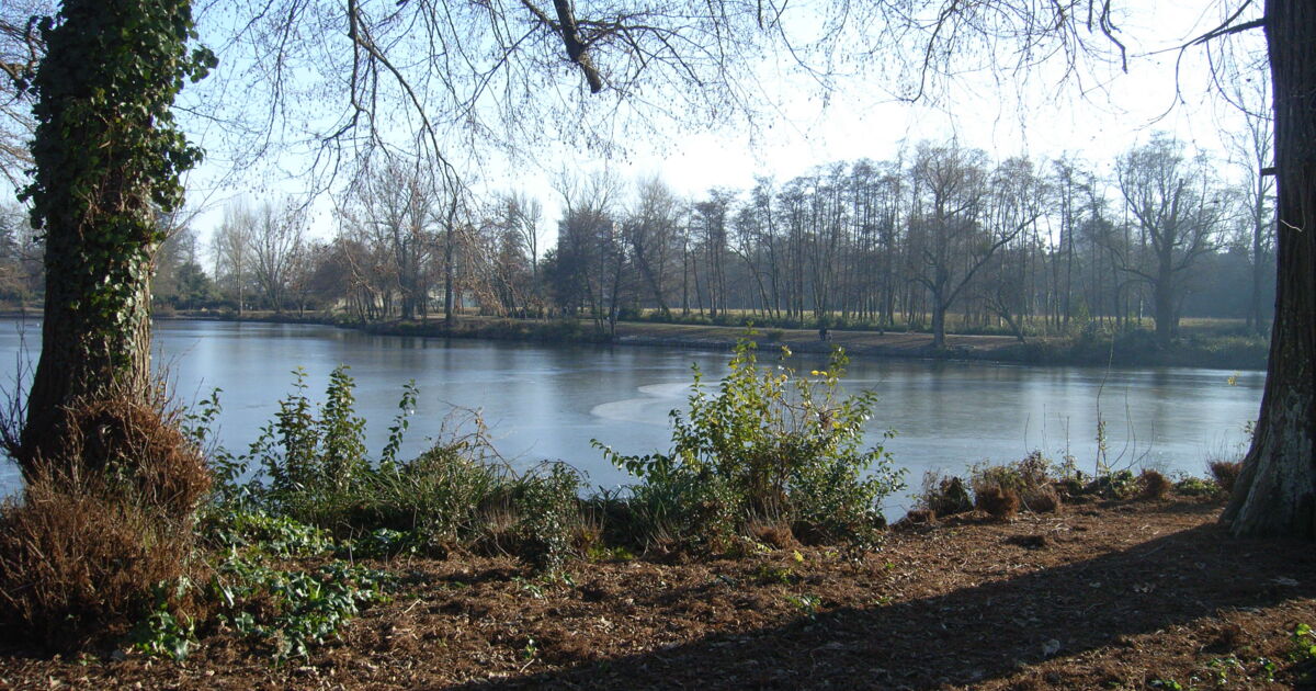 Parc Bordelais, le parc Bourran, aux couleurs de1 - Geo.fr